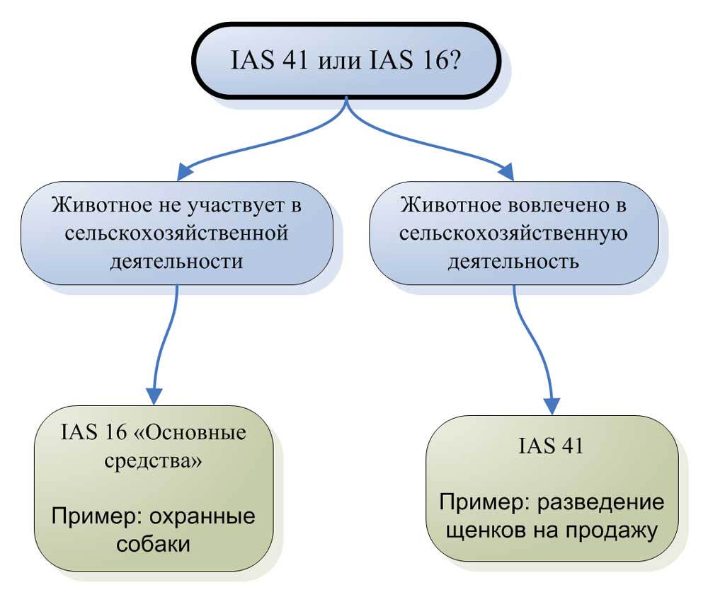IAS 41 Fin IAS 41 Fin